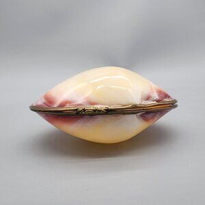 Bags | Vintage Clam Shell Purse Hinged Brass Frame Natural Shell Unique ...